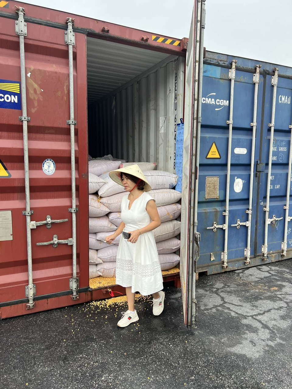 Ngô hạt nhập khẩu giá rẻ